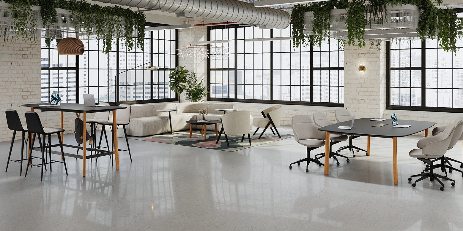 GOLDILOX – Simii NorthAmerica